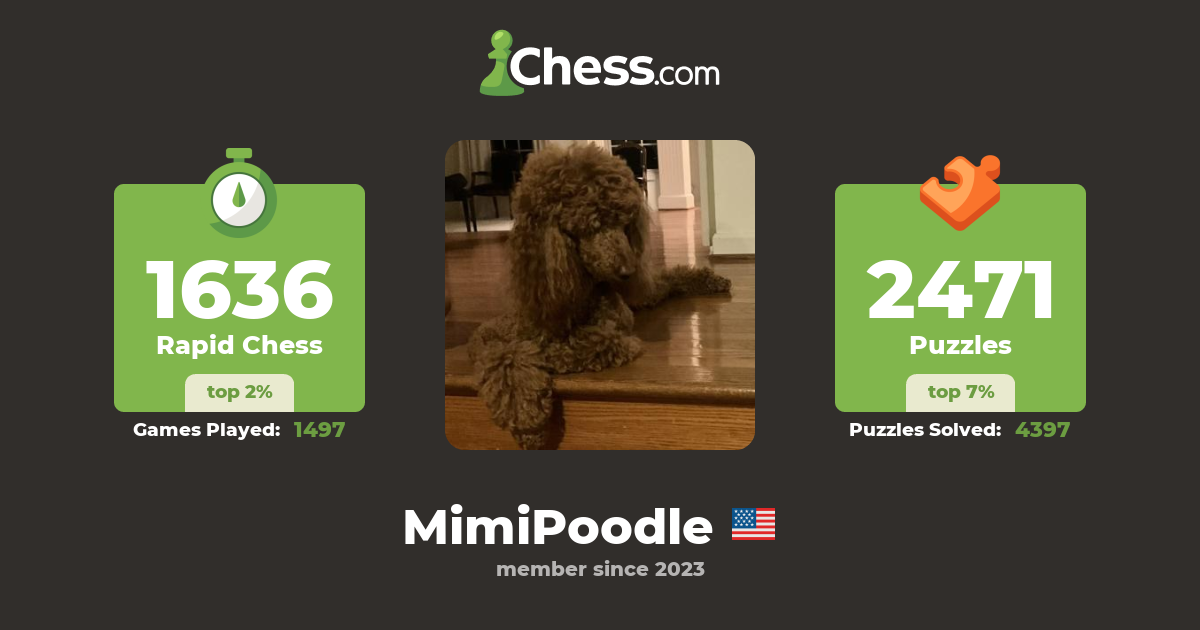 MimiPoodle - Chess Profile - Chess.com