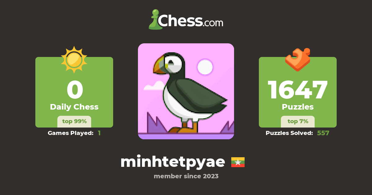 min htet pyae (minhtetpyae) - Chess Profile - Chess.com