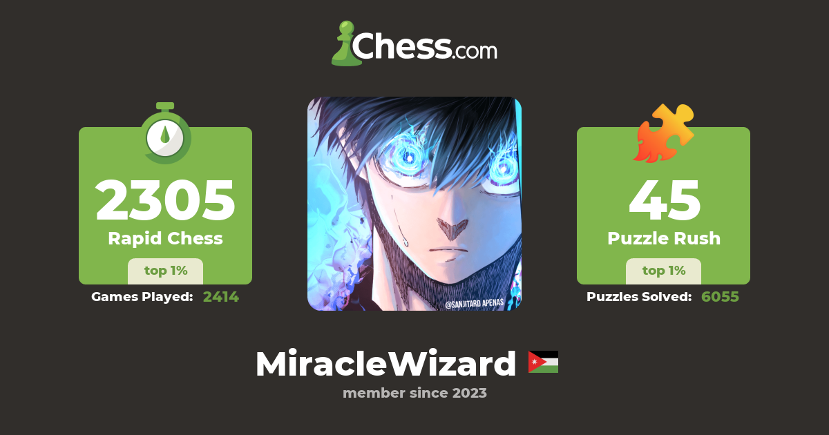 The Professor (MiracleWizard) - Chess Profile - Chess.com