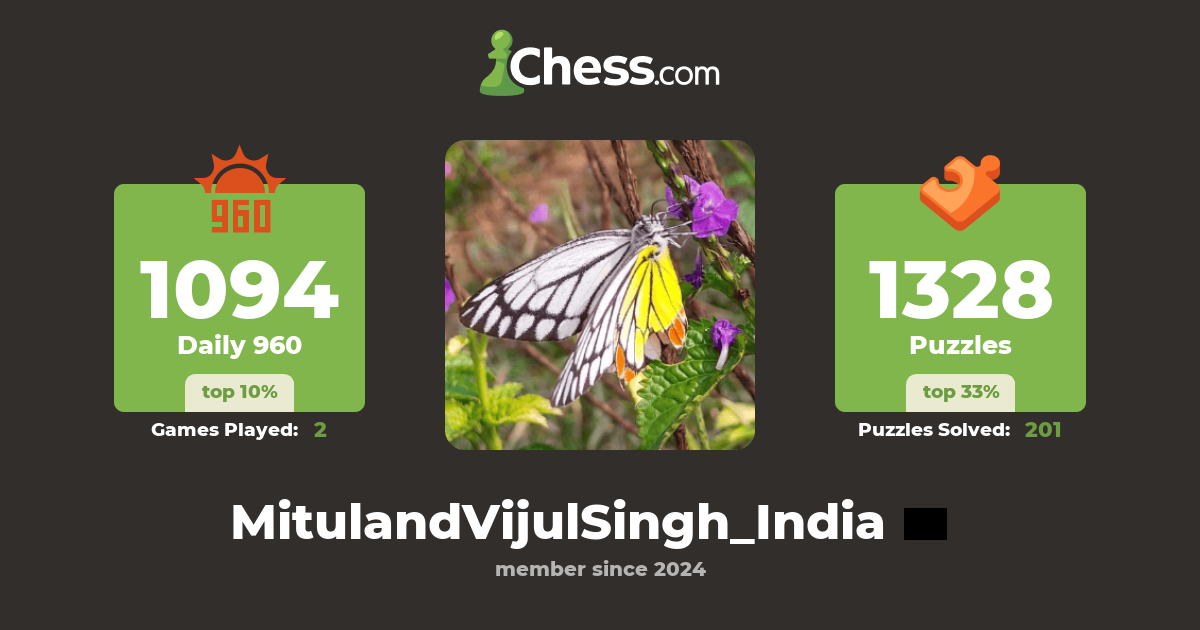 Mitul and Vijul Singh (MitulandVijulSingh_India) - Chess Profile - Chess.com