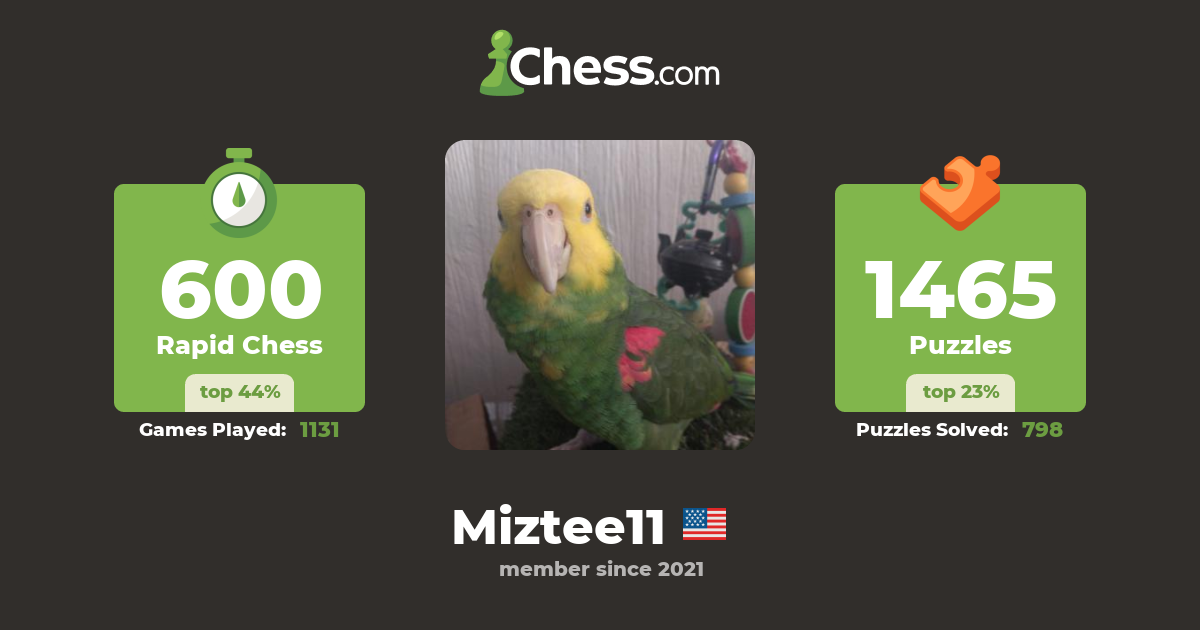 Misty Higgins (Miztee11) - Chess Profile - Chess.com