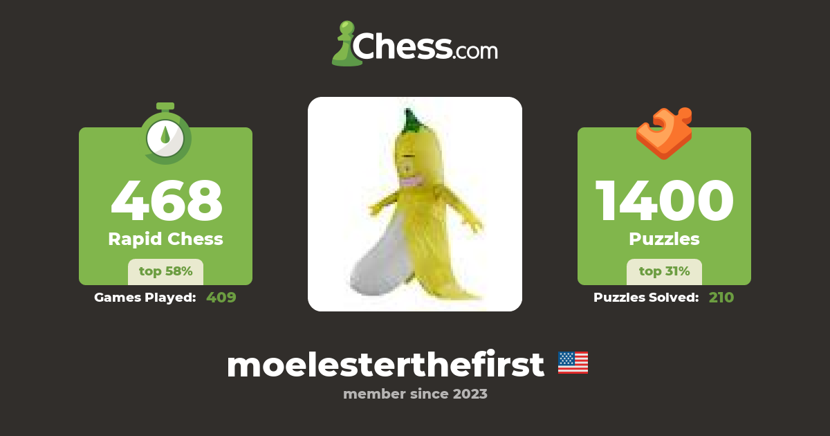 Brandon Austad (moelesterthefirst) - Chess Profile - Chess.com