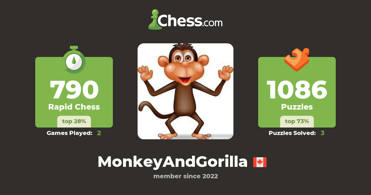 MonkeyAndGorilla - Chess Profile - Chess.com