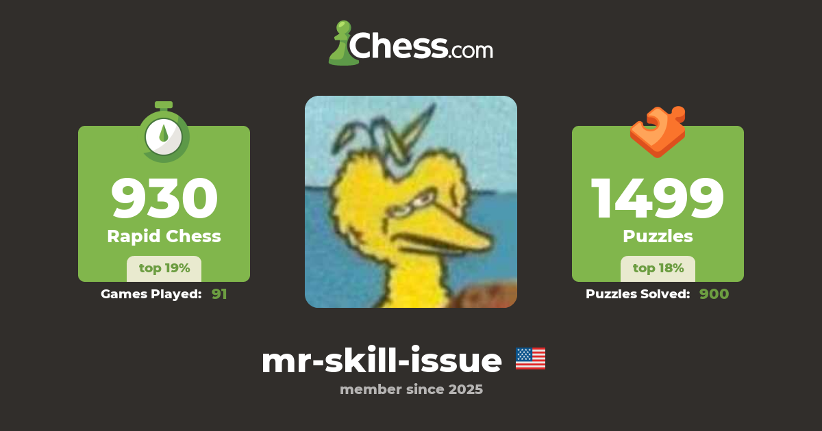mr-skill-issue - Chess Profile - Chess.com