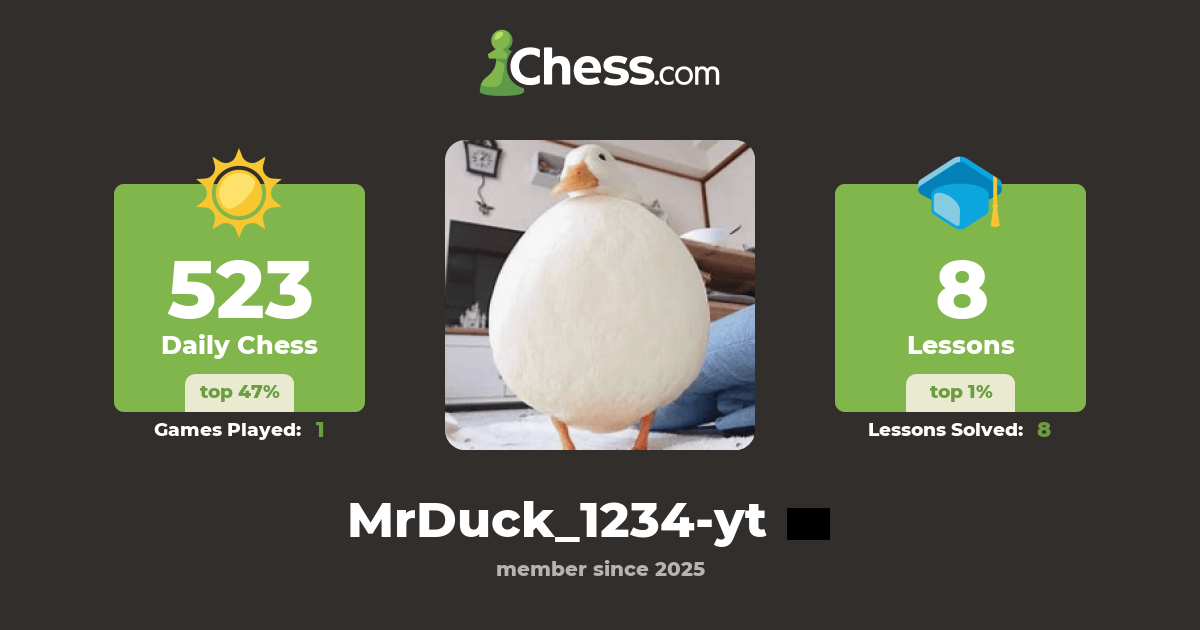MrDuck_1234-yt - Chess Profile - Chess.com