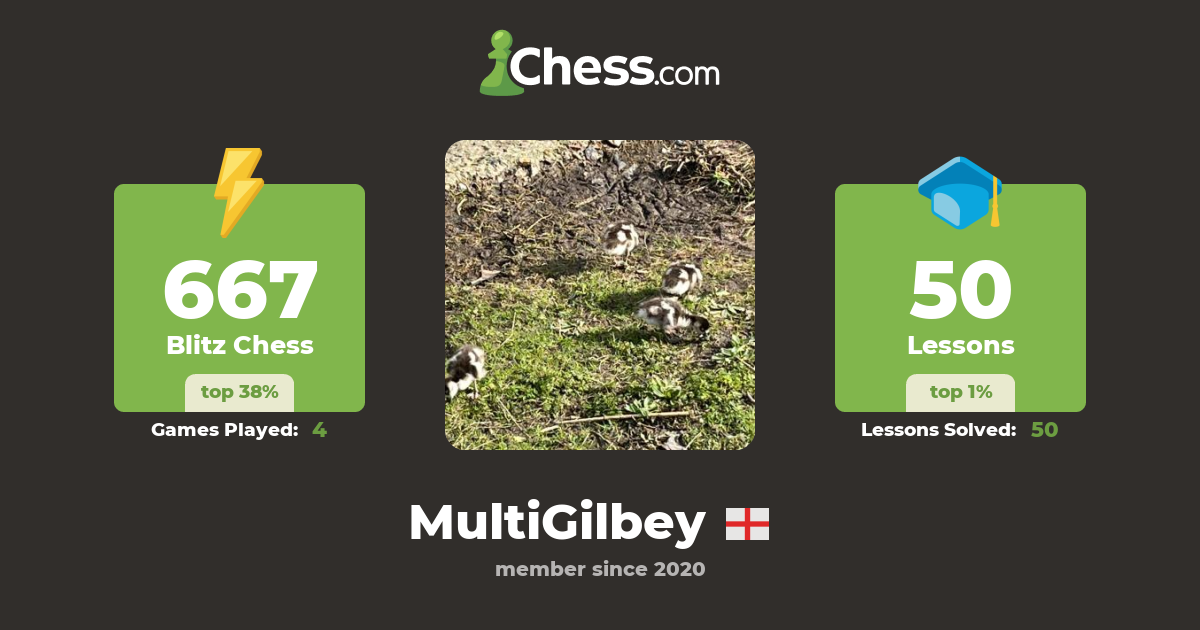 MultiGilbey - Chess Profile - Chess.com