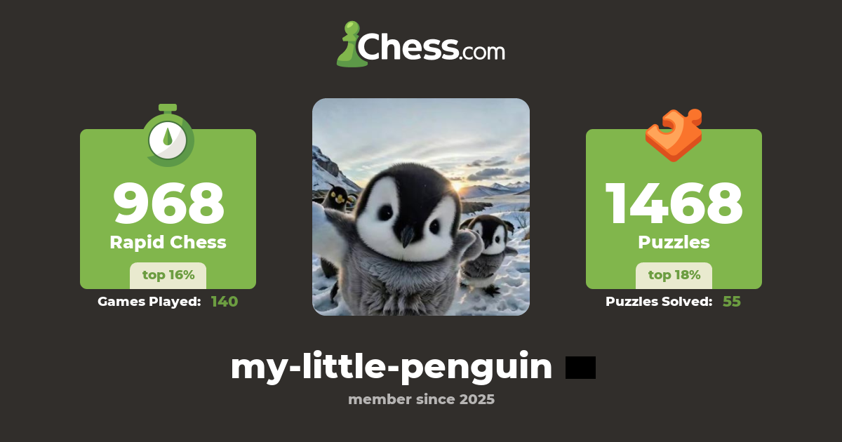 my-little-penguin - Chess Profile - Chess.com