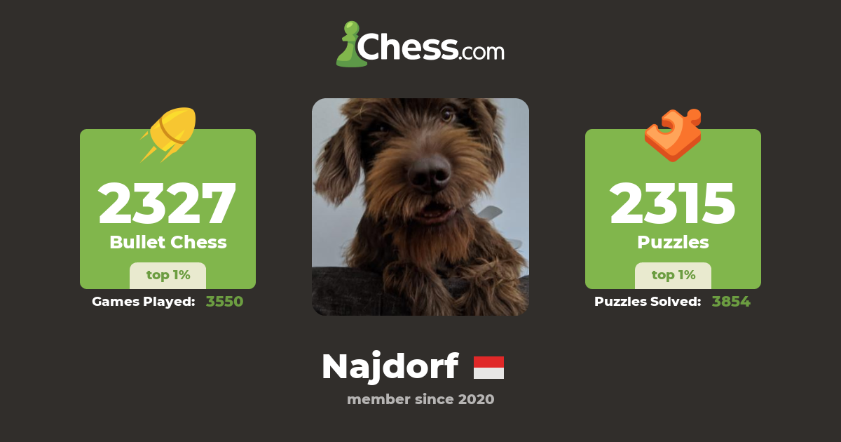 Najdorf - Chess Profile - Chess.com