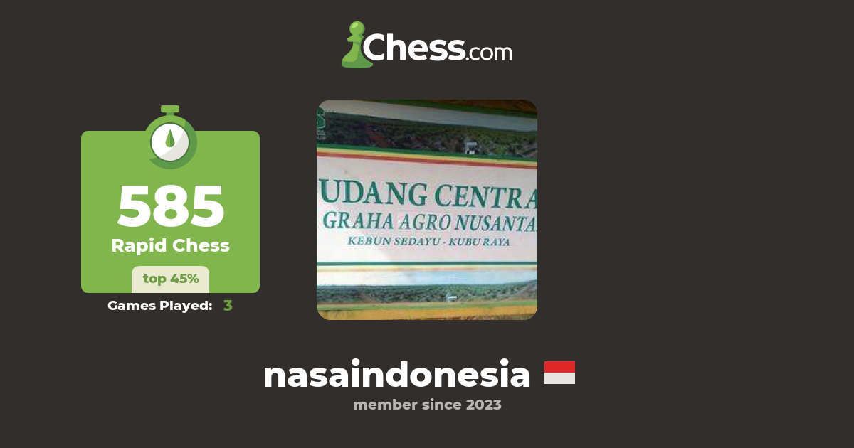 Faisal Ams (nasaindonesia) - Chess Profile - Chess.com