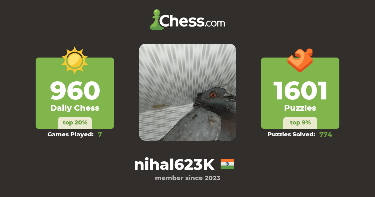Nihal Malakiya (nihal623K) - Chess Profile - Chess.com