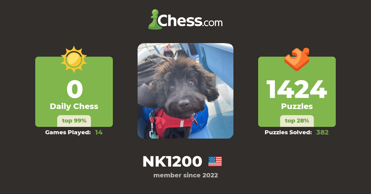 Jason Meza (NK1200) - Chess Profile - Chess.com