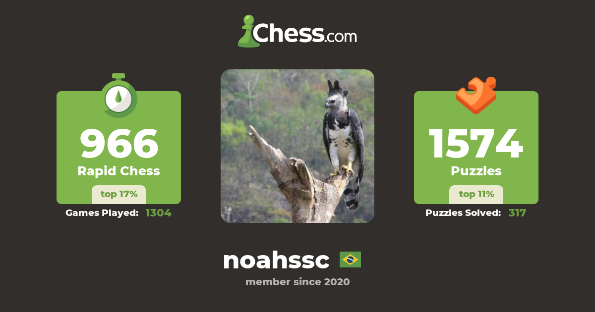 NOEL COSTA (noahssc) - Chess Profile - Chess.com