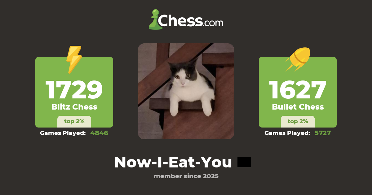 Now-I-Eat-You - Chess Profile - Chess.com