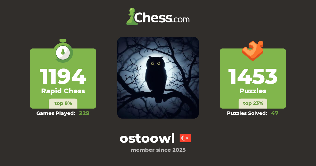 ostoowl - Chess Profile - Chess.com