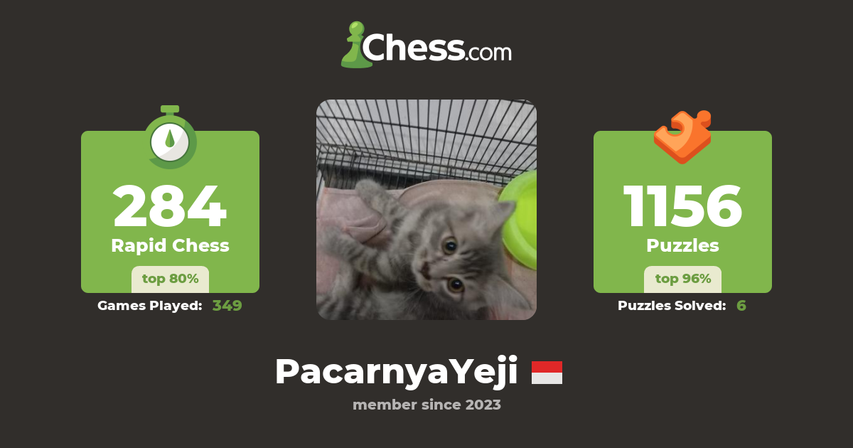 bakekok kokekab (PacarnyaYeji) - Chess Profile - Chess.com