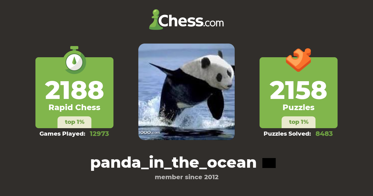 Mr. Panda (panda_in_the_ocean) - Chess Profile - Chess.com
