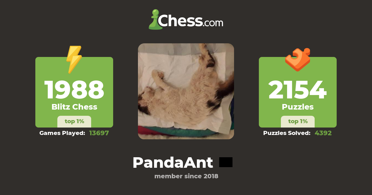PandaAnt - Chess Profile - Chess.com