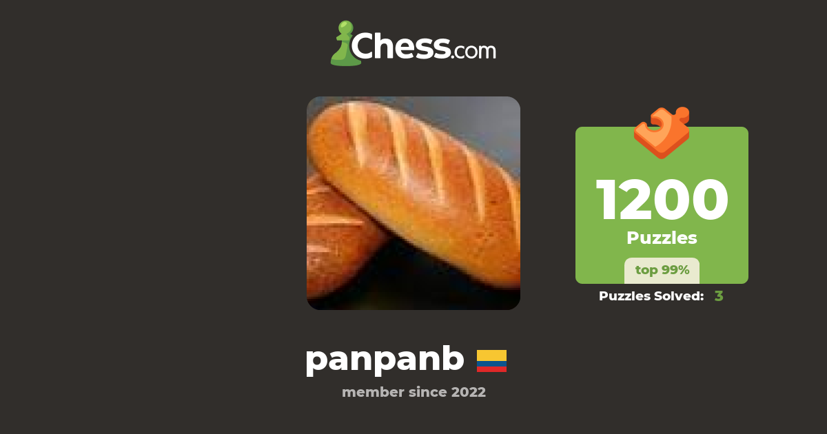 pan pan (panpanb) - Chess Profile - Chess.com