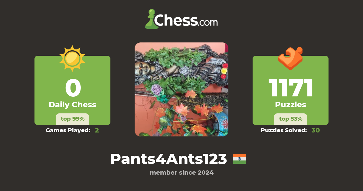 P Chethan (Pants4Ants123) - Chess Profile - Chess.com