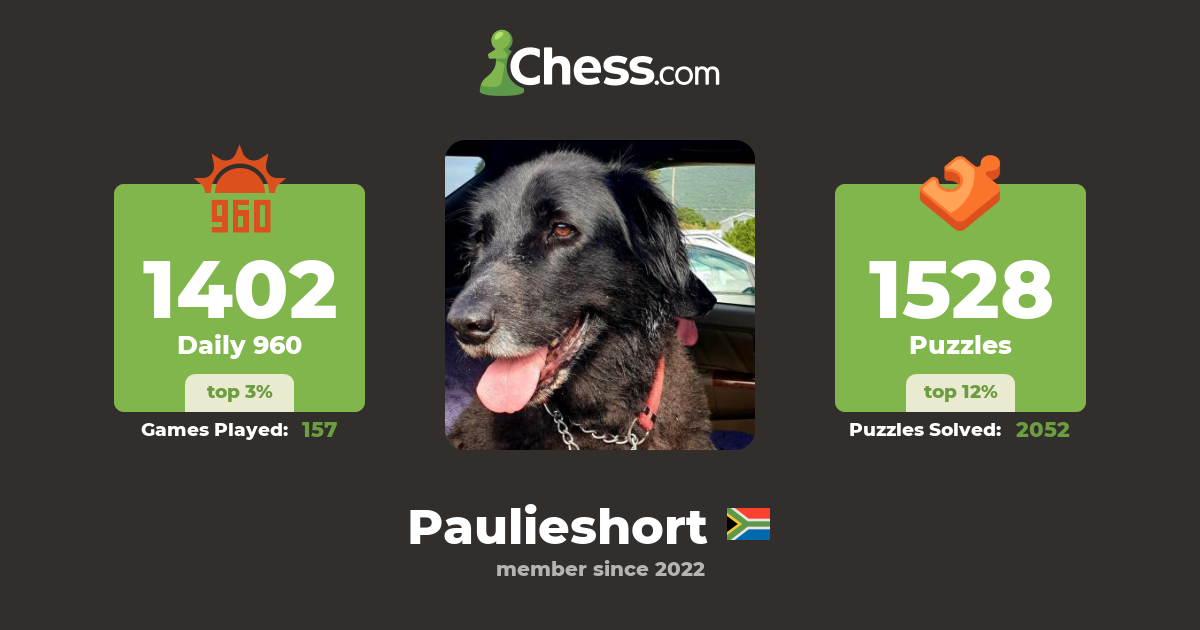 Paul Vester (Paulieshort) - Chess Profile - Chess.com