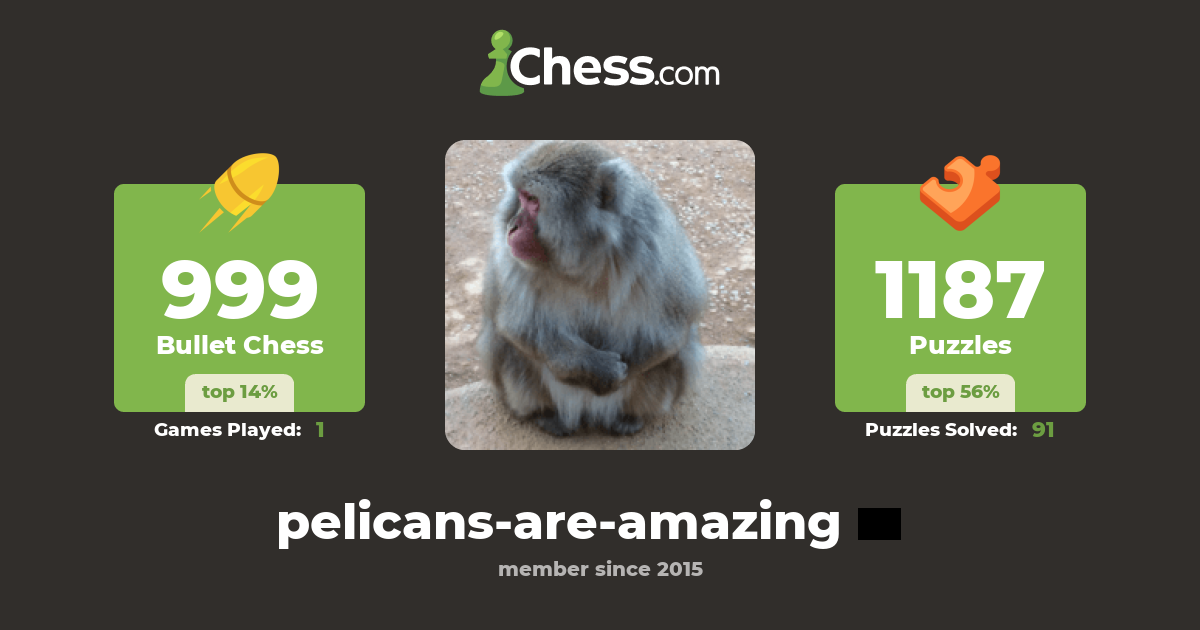 Bryn mitchell (pelicans-are-amazing) - Chess Profile - Chess.com