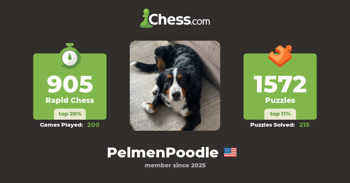 PelmenPoodle - Chess Profile - Chess.com