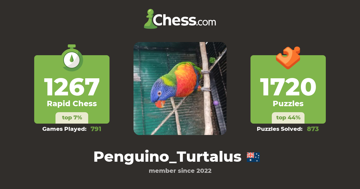 Penguino_Turtalus - Chess Profile - Chess.com