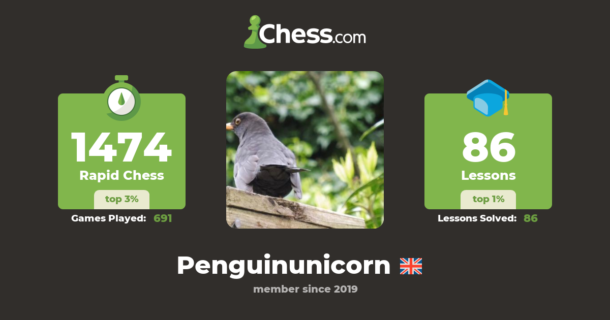 Penguinunicorn - Chess Profile - Chess.com