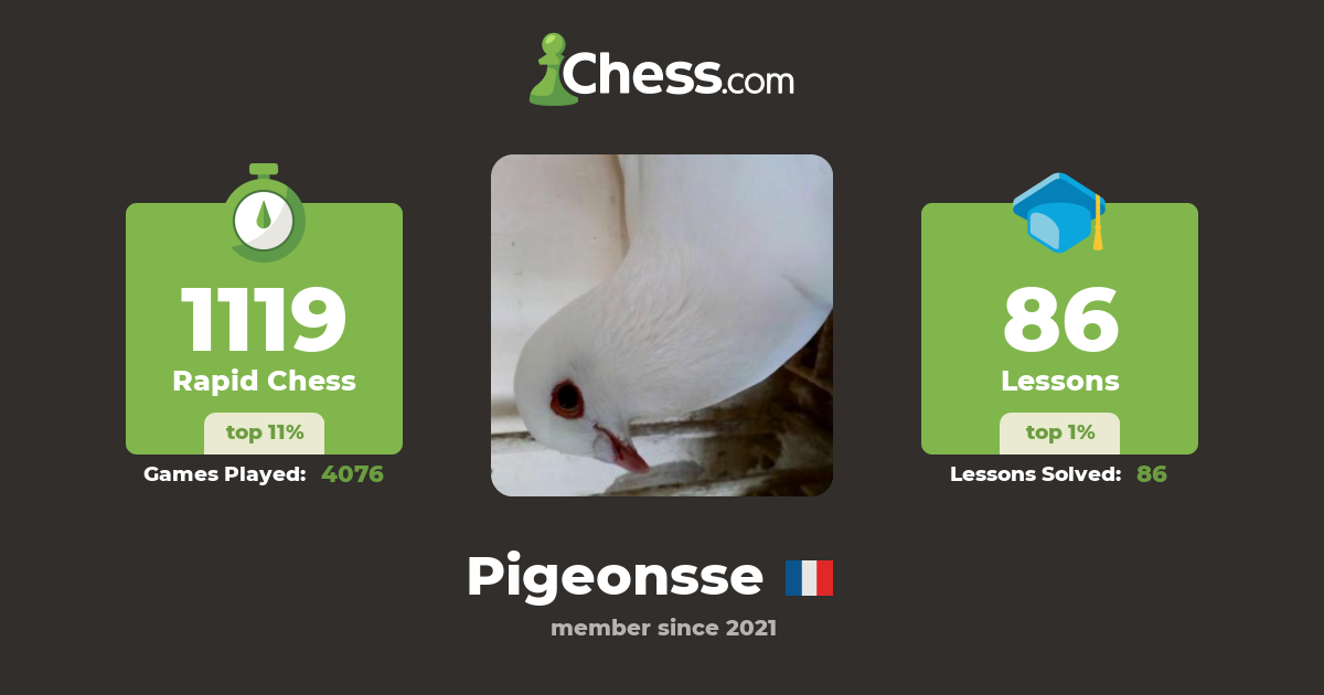 Pigeon Pigeons (Pigeonsse) - Chess Profile - Chess.com