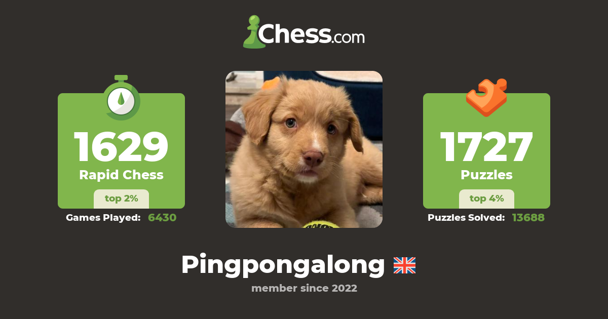 Pingpongalong - Chess Profile - Chess.com