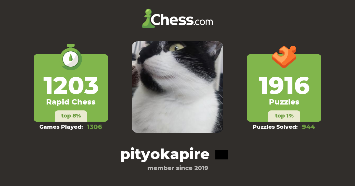 Márk Ambrus (pityokapire) - Chess Profile - Chess.com