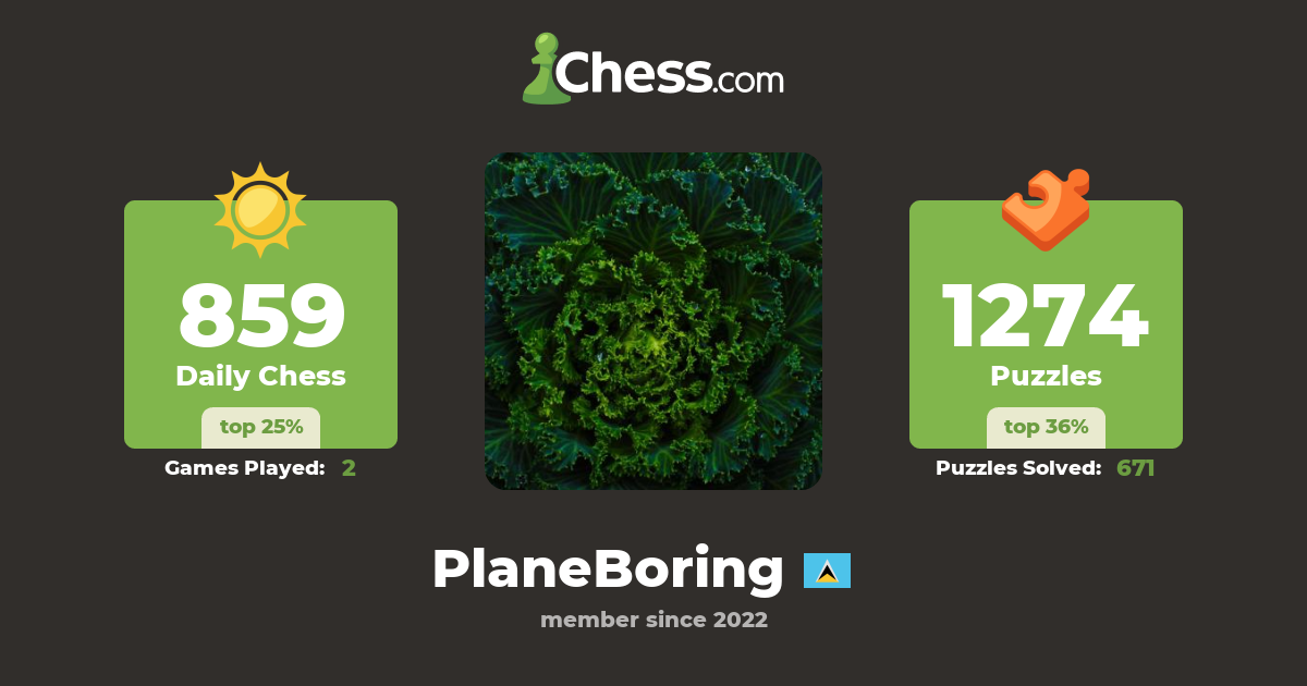 Boring Plane (PlaneBoring) - Chess Profile - Chess.com
