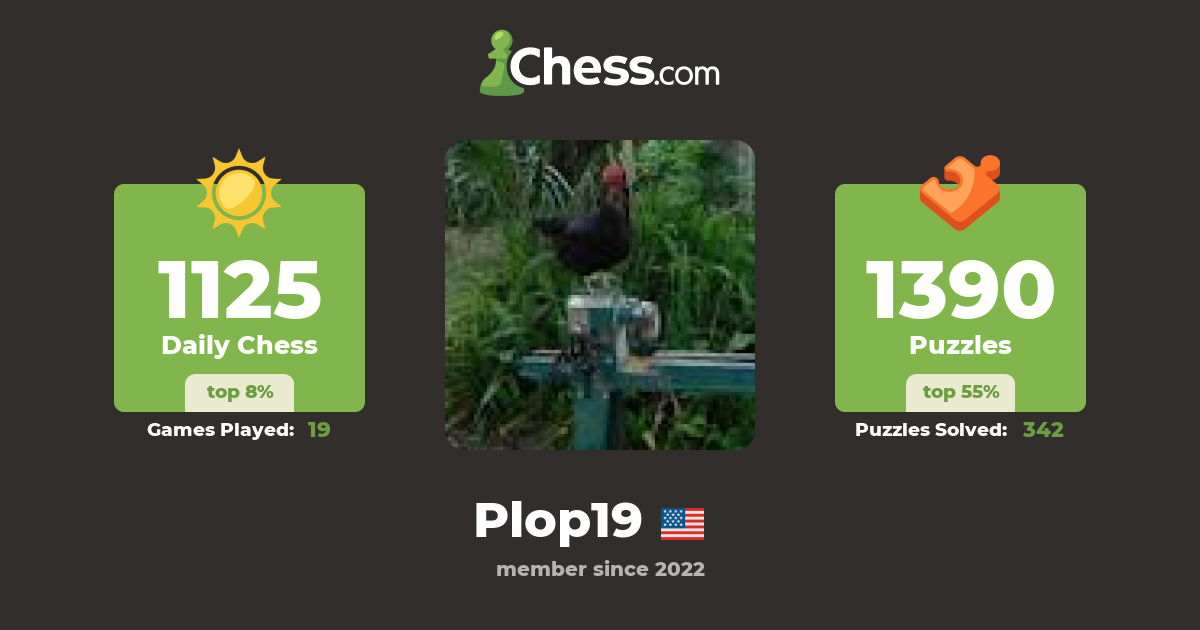 William Palm (Plop19) - Chess Profile - Chess.com