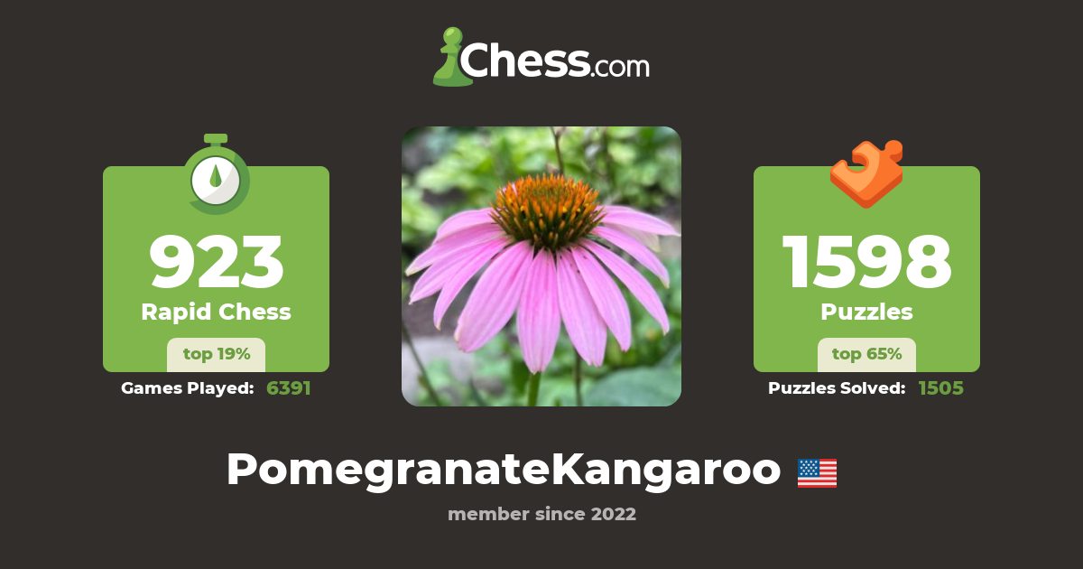 Pomegranate Kangaroo (PomegranateKangaroo) - Chess Profile - Chess.com