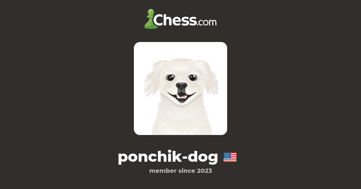 ponchik-dog - Chess Profile - Chess.com