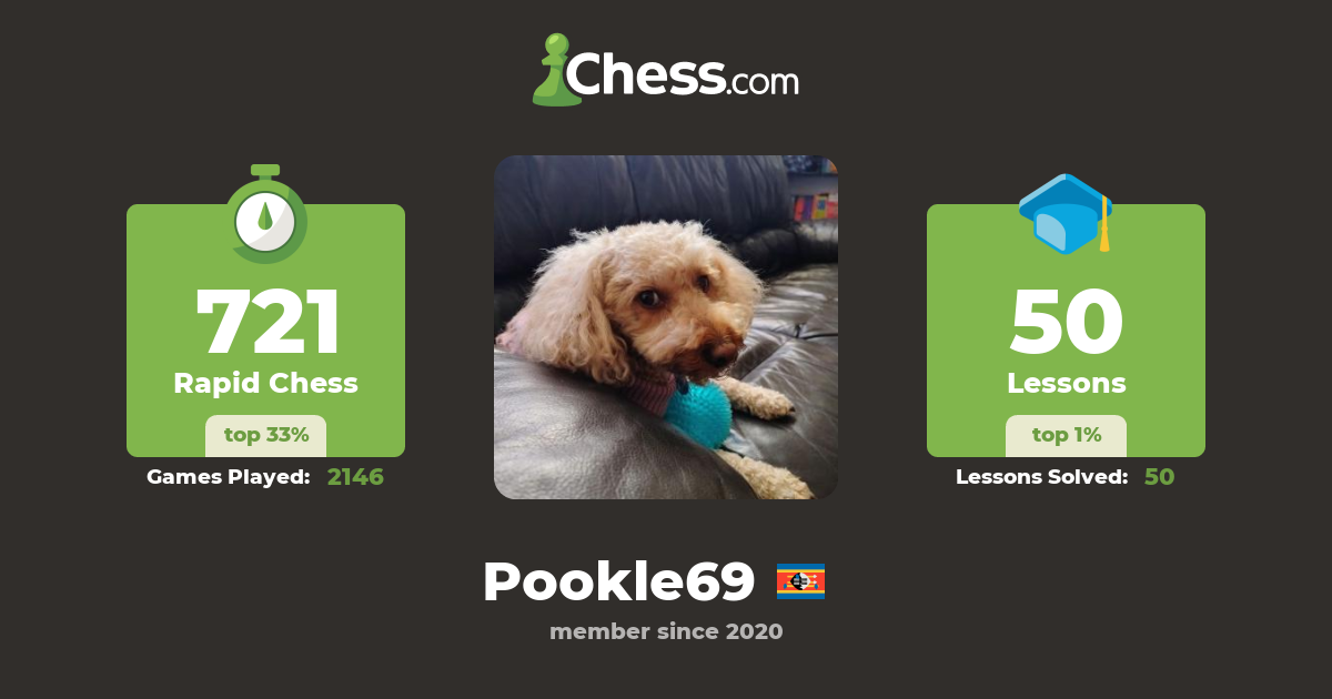 Peter (Pookle69) - Chess Profile - Chess.com