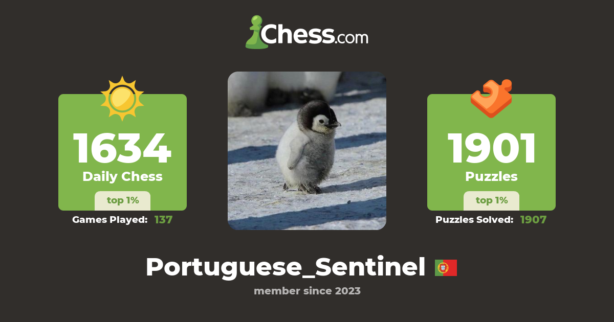 André Fernandes (Portuguese_Sentinel) - Chess Profile - Chess.com