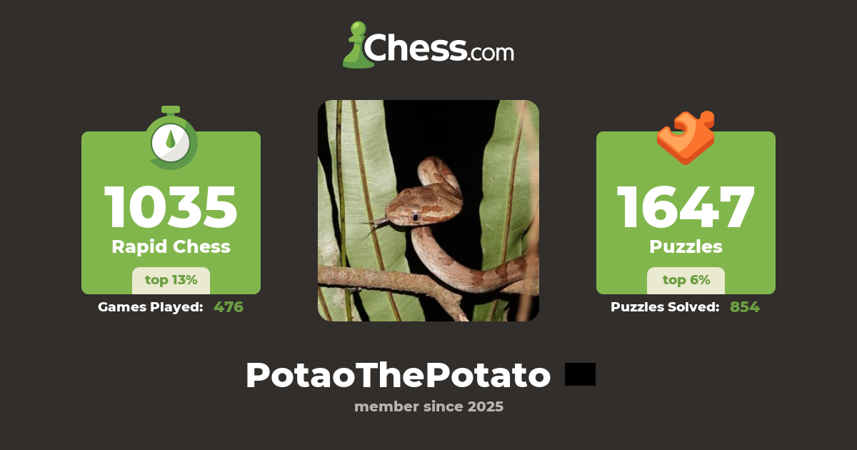 PotaoThePotato - Chess Profile - Chess.com