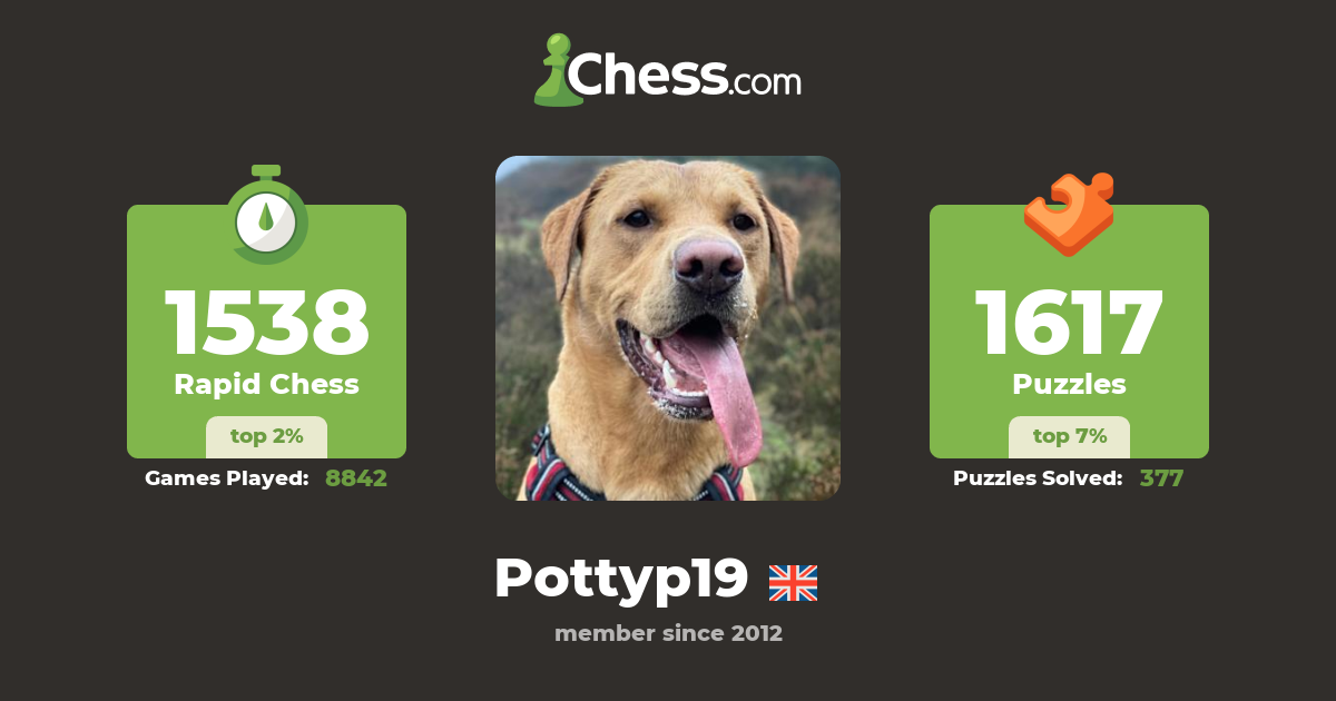Andrew Pettinger (Pottyp19) - Chess Profile - Chess.com