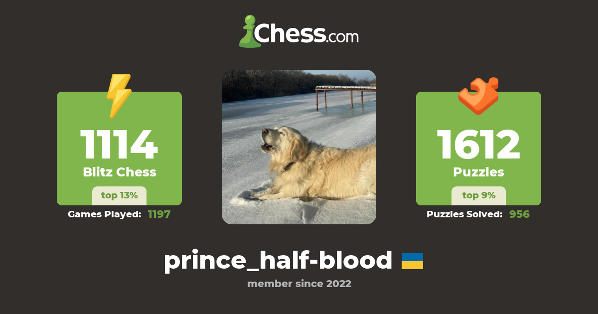 prince_half-blood - Chess Profile - Chess.com
