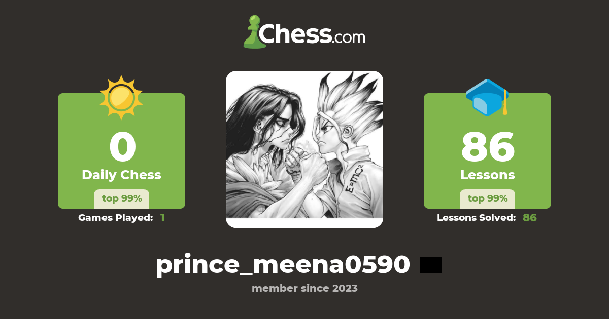 prince_meena0590 - Chess Profile - Chess.com