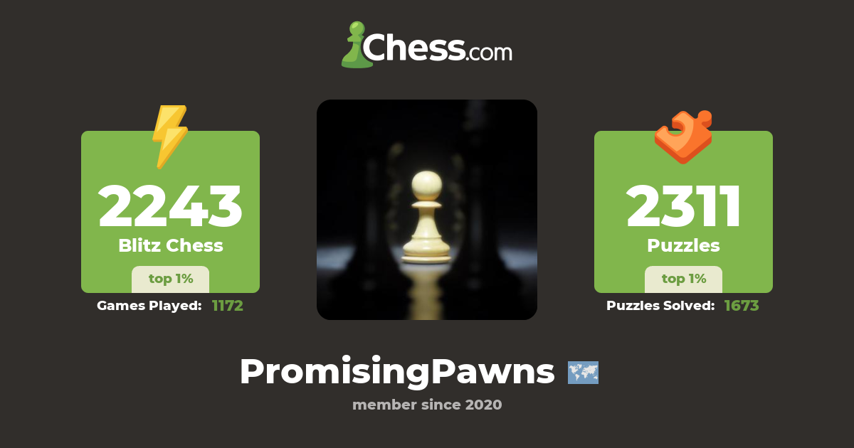 Clown 🤡🎪 (PromisingPawns) - Chess Profile - Chess.com
