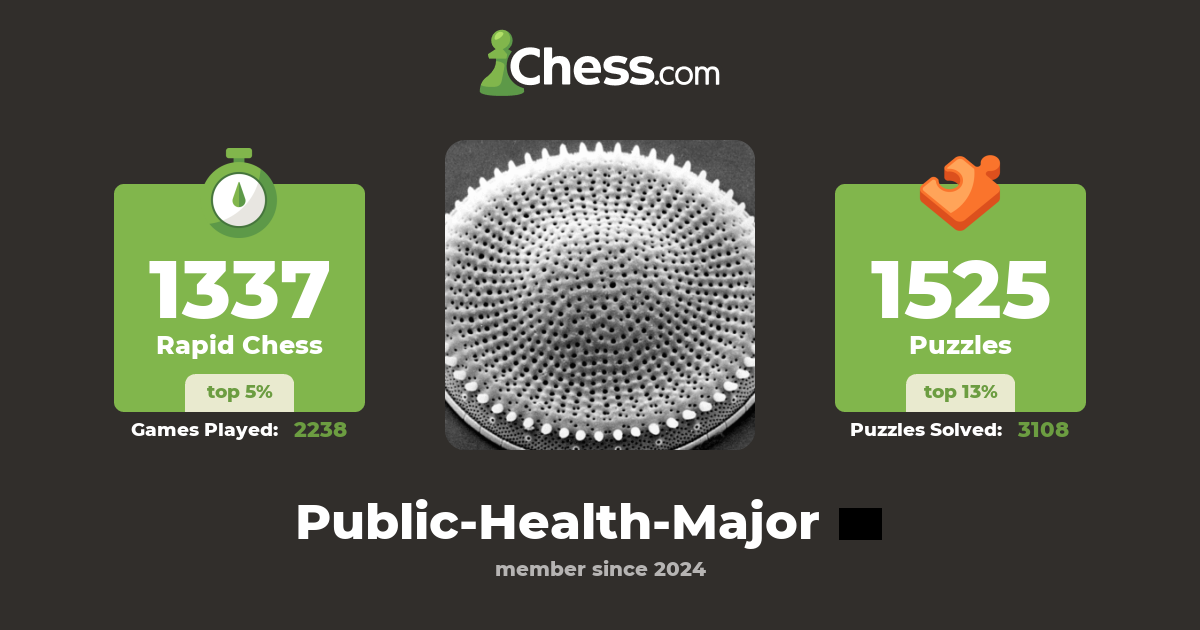 Public-Health-Major - Chess Profile - Chess.com