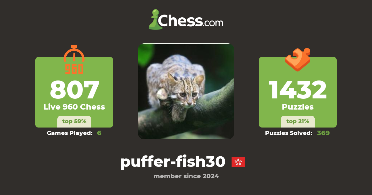 puffer-fish30 - Chess Profile - Chess.com