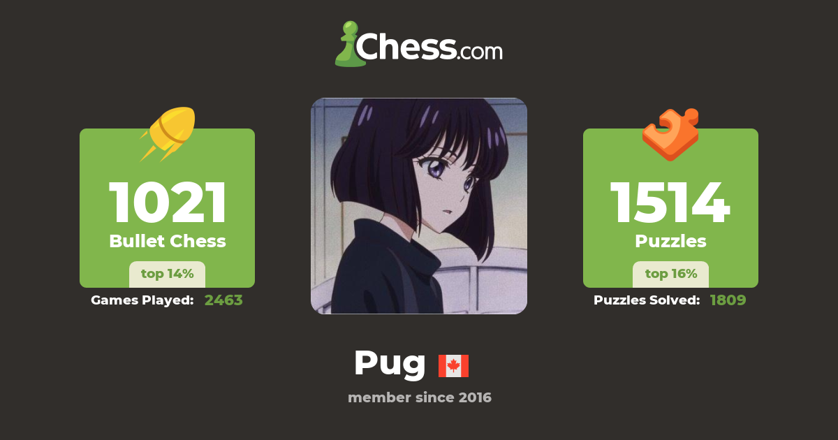 Pug - Chess Profile - Chess.com