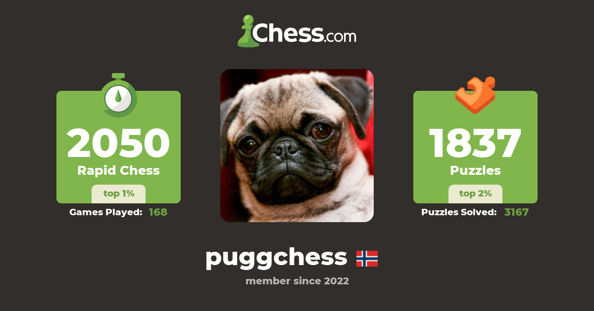 puggchess - Chess Profile - Chess.com