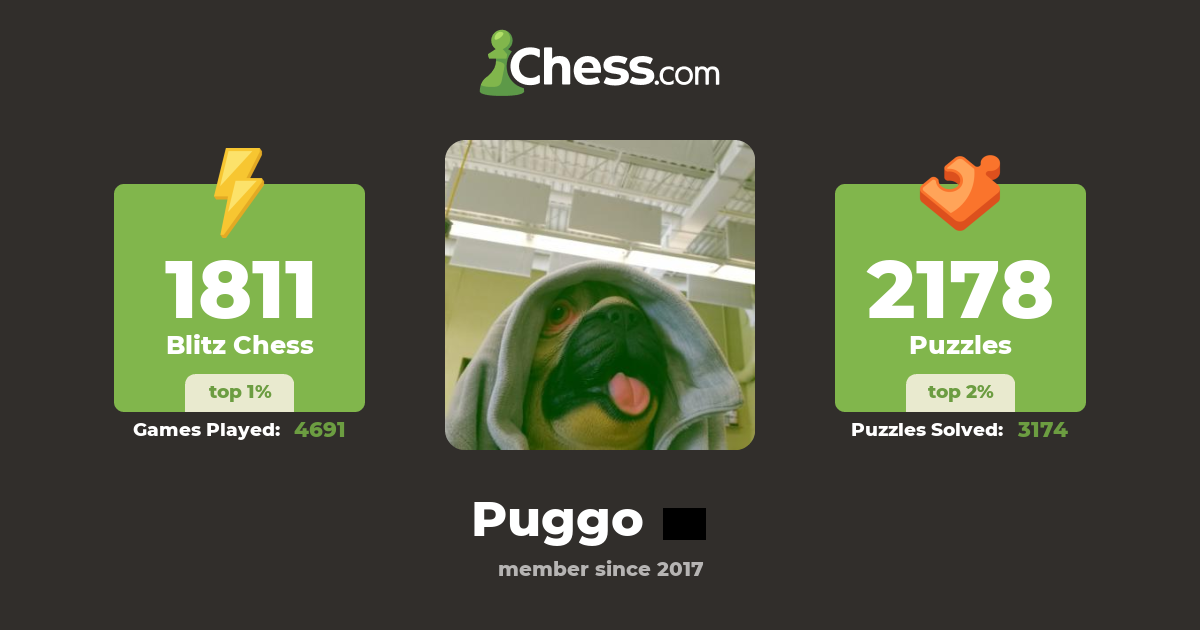 Puggo - Chess Profile - Chess.com