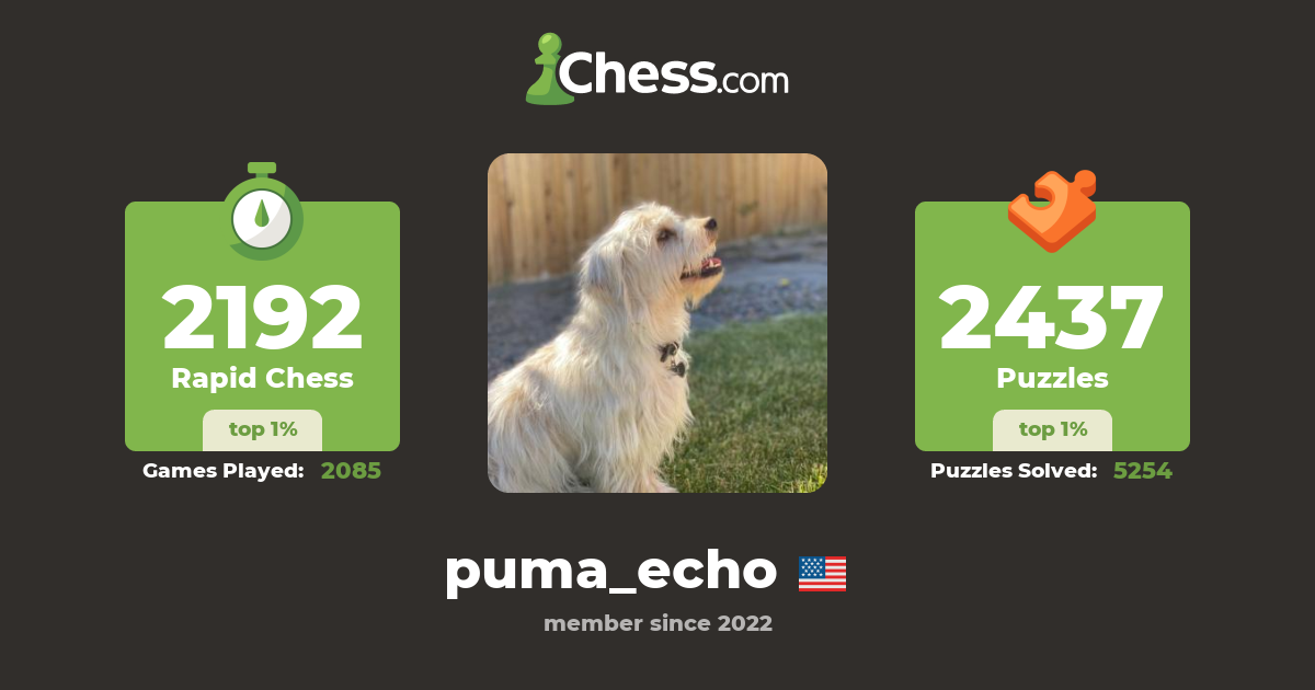 puma_echo - Chess Profile - Chess.com