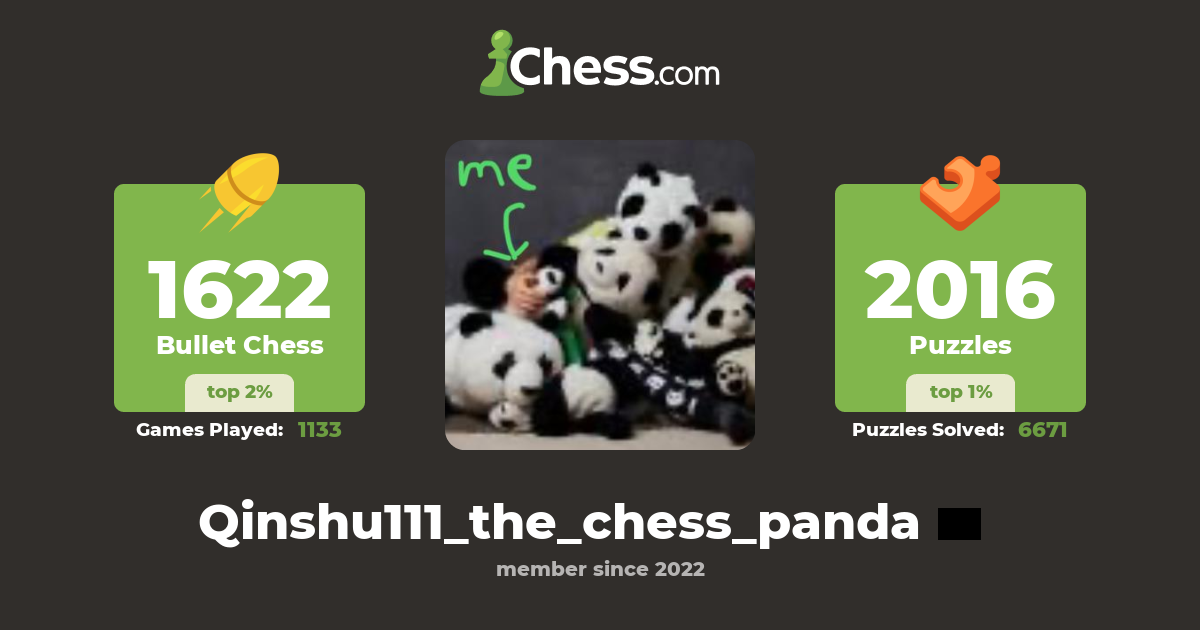Cute Panda guy (Qinshu111_the_chess_panda) - Chess Profile - Chess.com