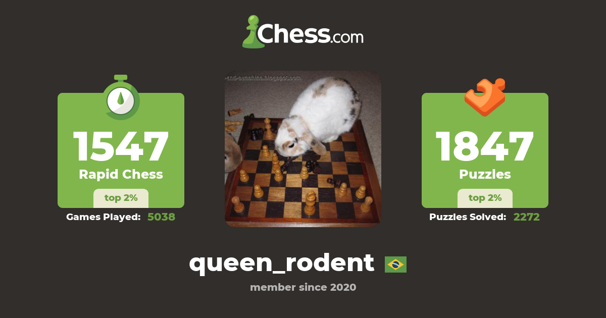 Matheu Alves (queen_rodent) - Chess Profile - Chess.com
